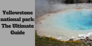 Yellowstone National Park: The Ultimate Guide